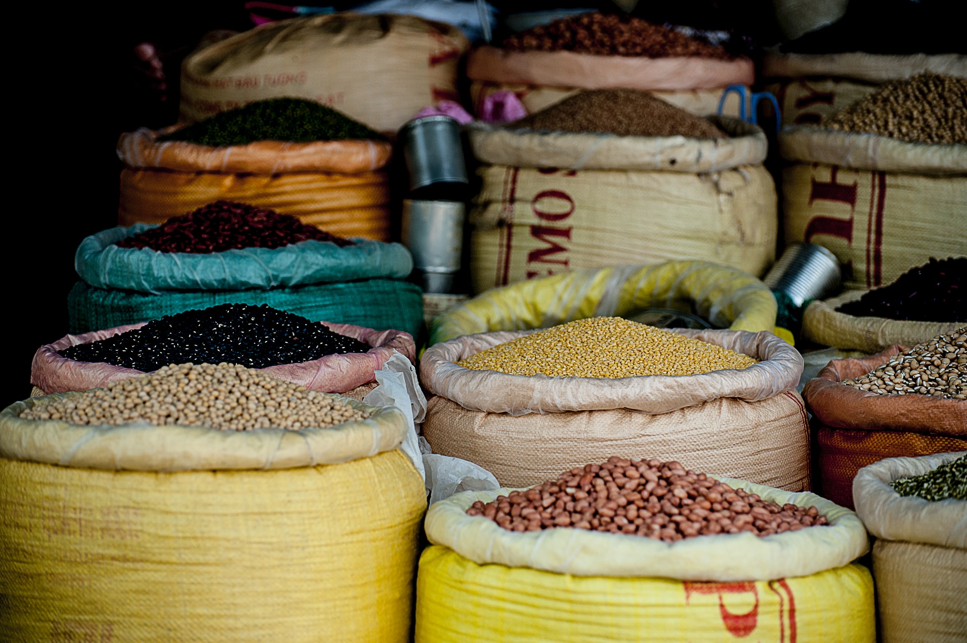 Why the humble legume could be the answer to Europe’s fertiliser ...