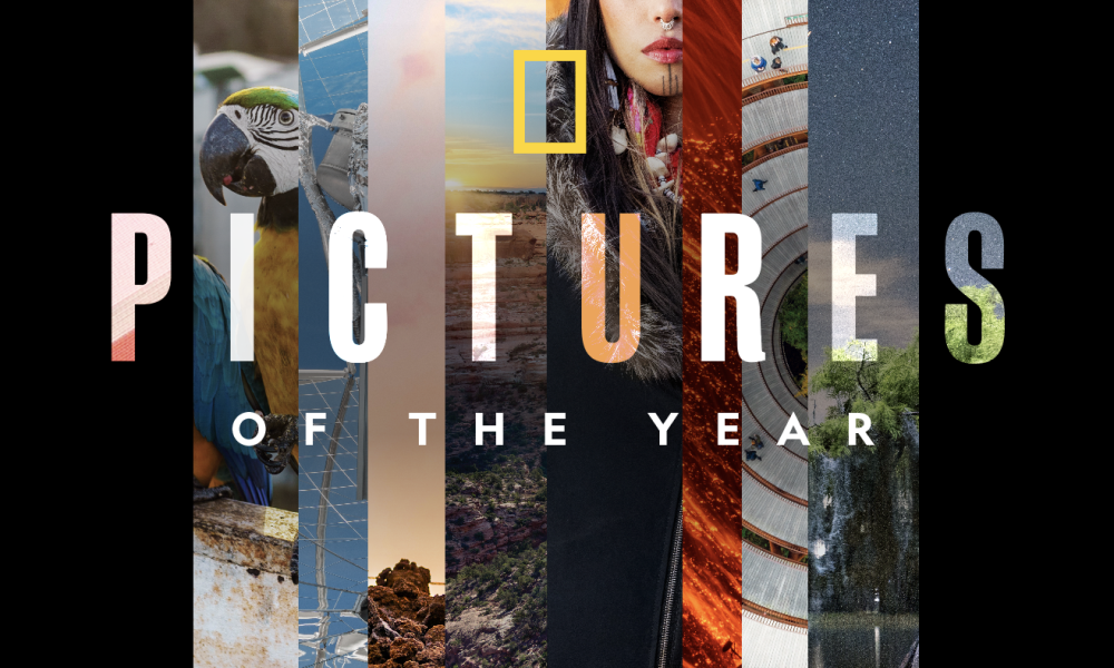 National Geographic launches Pictures of the Year photo contest ...