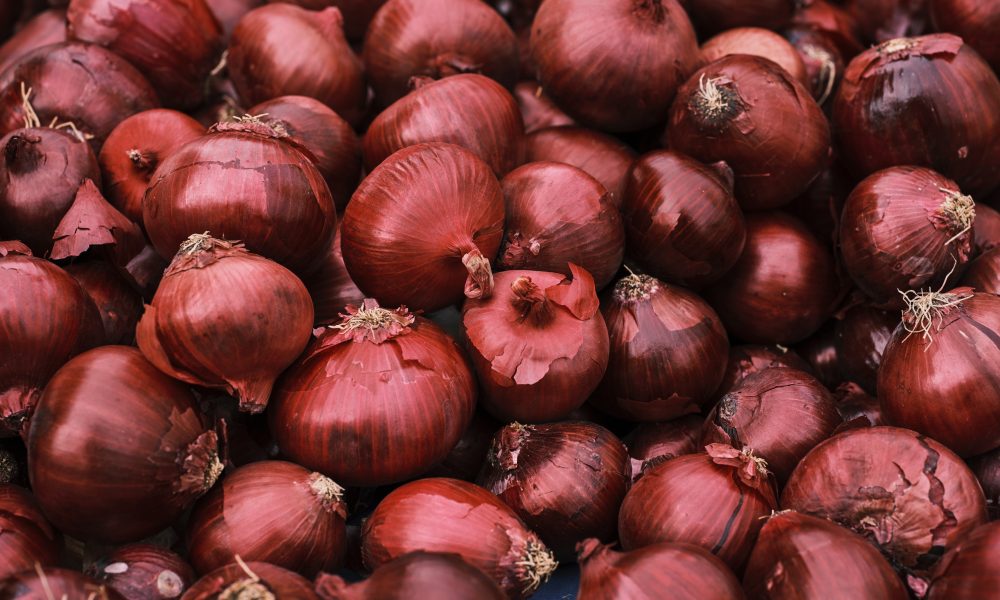 PH expects good harvest, adequate supply of onions in 2024 – Philippine ...